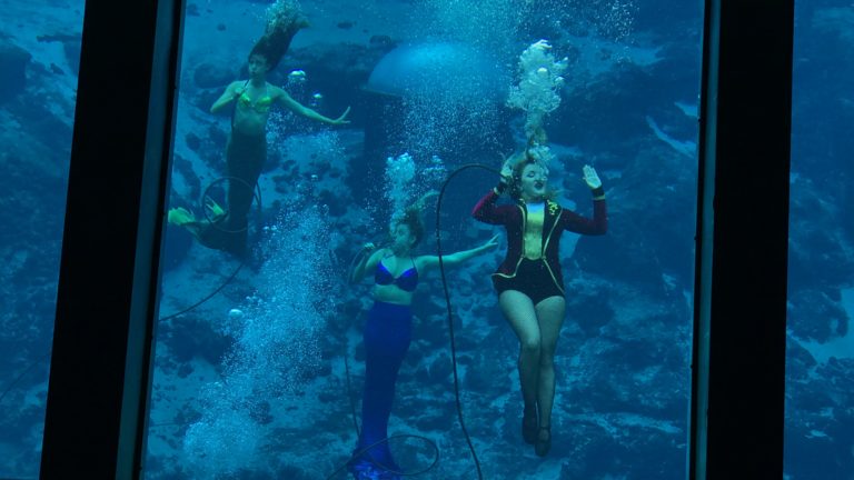 Weeki Wachee Springs State Park | Where Mermaids Come To Life