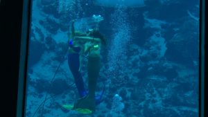 Weeki Wachee Springs State Park | Where Mermaids Come To Life