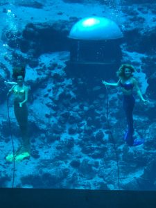 Weeki Wachee Springs State Park | Where Mermaids Come To Life
