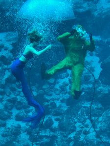 Weeki Wachee Springs State Park | Where Mermaids Come To Life