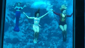 Weeki Wachee Springs State Park | Where Mermaids Come To Life