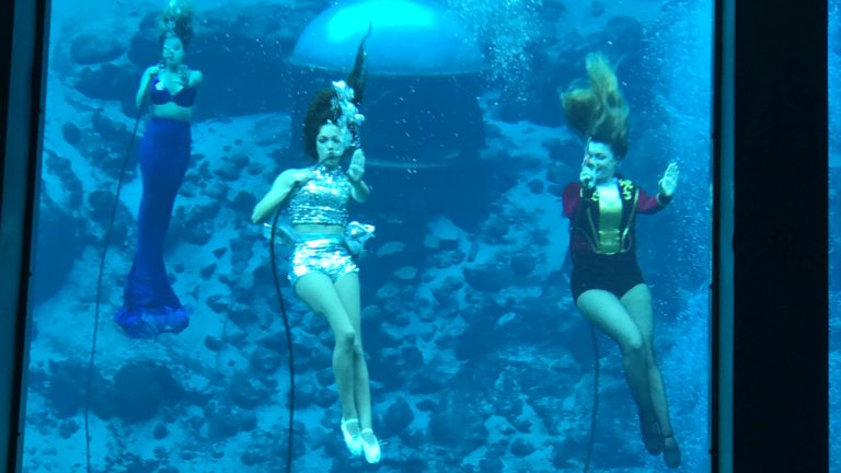 Weeki Wachee Springs State Park | Where Mermaids Come To Life