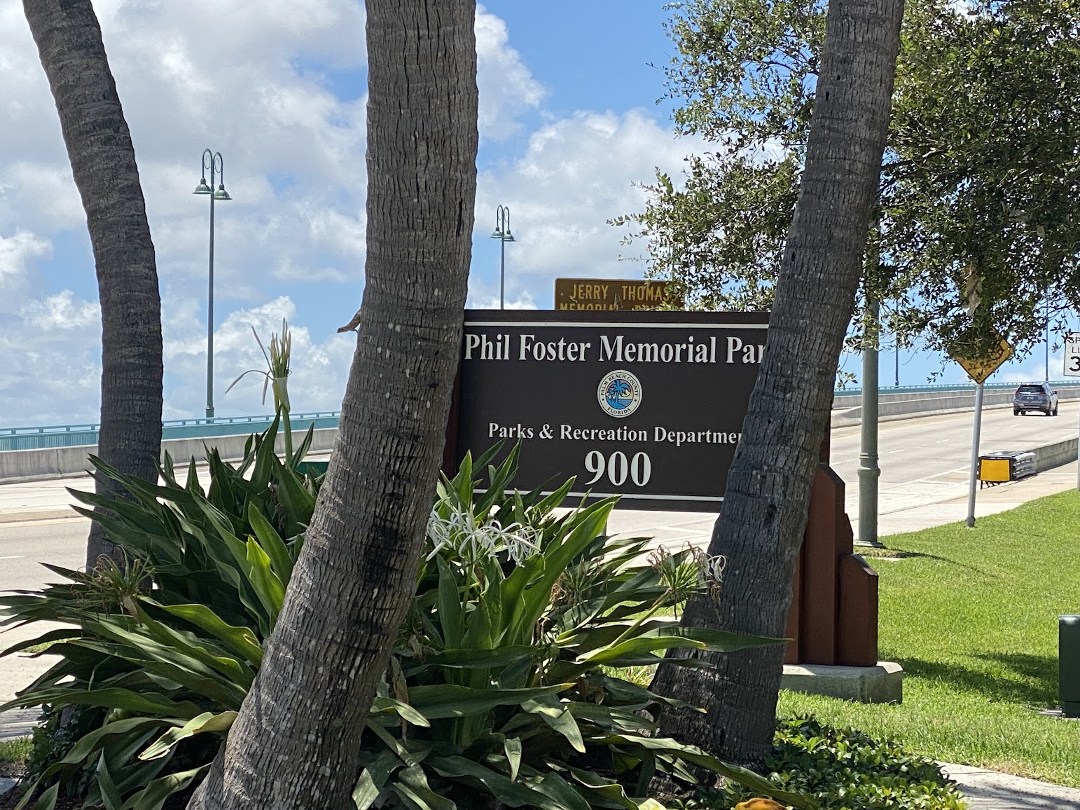 Explore Florida Like a Local | Mackintosh Travels™